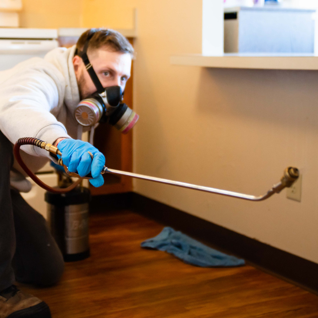 Roach Pest Control Service | B & B Pest Control