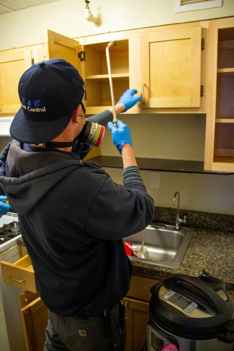 BB-Pest-Lynn-Shoot-0124-min | B & B Pest Control