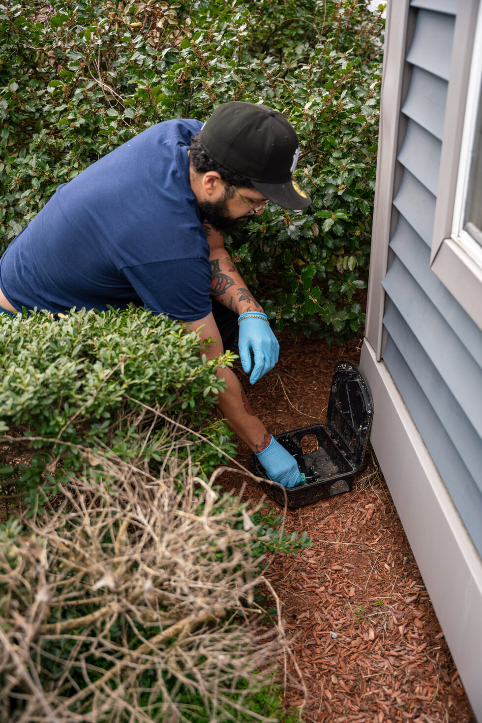 The Ultimate Fall Pest Prevention Checklist