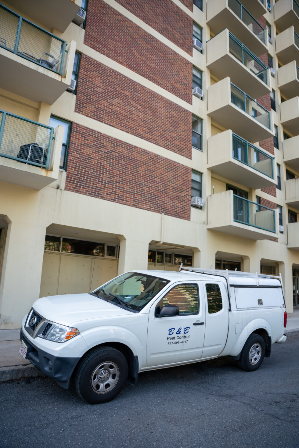 Boston Rat Control: Expert Prevention and Elimination Guide B & B Pest ...